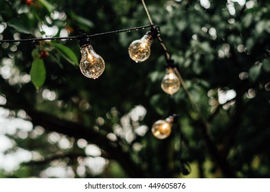 3,077 Forest string lights Images, Stock Photos & Vectors | Shutterstock