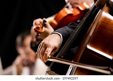 63,976 Orchestra string instruments Images, Stock Photos & Vectors ...