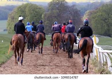 10 Lambourn gallops Images, Stock Photos & Vectors | Shutterstock