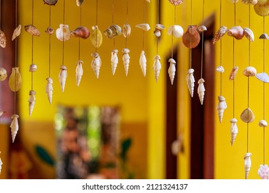 5,670 Shell string Images, Stock Photos & Vectors | Shutterstock