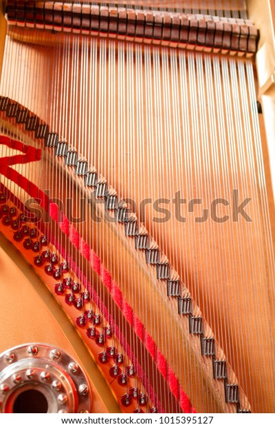 Strings Mallets Dampeners Sound Board Inside Stock Photo 1015395127 ...