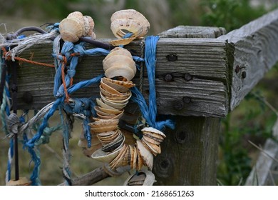 5,670 Shell string Images, Stock Photos & Vectors | Shutterstock