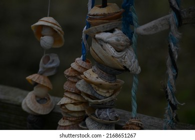 Strings Sea Shells Left Hanging On Stock Photo 2168651267 | Shutterstock