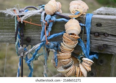 Strings Sea Shells Left Hanging On Stock Photo 2168651271 | Shutterstock