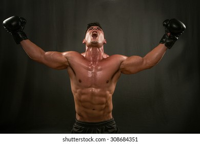 Portrait Young Boxer Front Dark Background Stock Photo (Edit Now ...