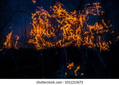 Fire Burning Paper Documents Document Fire Stock Photo (Edit Now) 528107875
