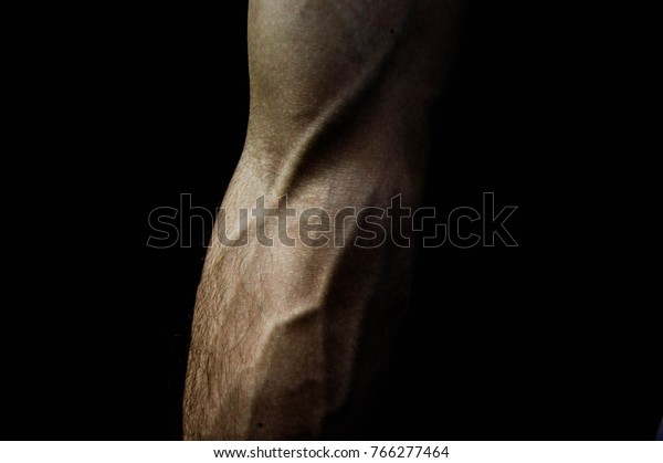 Strong Hand Man Stock Photo 766277464 | Shutterstock