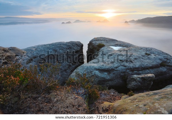 Strong Sun Rays Make Long Strips Stock Photo 721951306 | Shutterstock