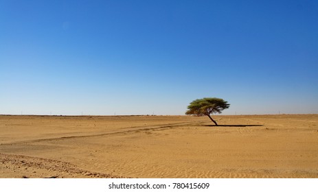 Strong Tree Image Stock Photo 780415609 | Shutterstock