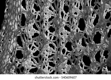 45 Coton fibre Images, Stock Photos & Vectors | Shutterstock