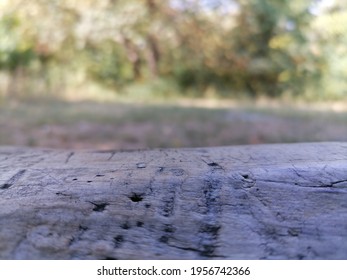 Structure Tree Surface Closeup Stock Photo 1956742366 | Shutterstock