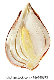 Structure Tulip Bulb Section Tulip Bulb Stock Photo 766740673 ...