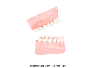 Studio Shot Teeth Sample Made Out Stock Photo 167604719 | Shutterstock