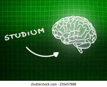 89 Studium Background Images, Stock Photos & Vectors | Shutterstock