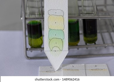 72 Preparative thin layer chromatography Images, Stock Photos & Vectors ...