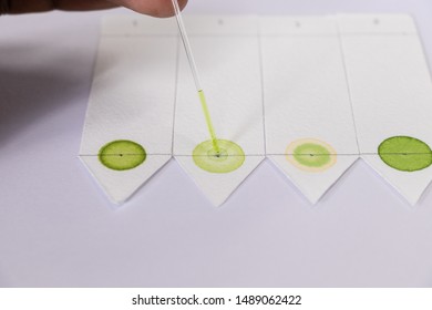 72 Preparative thin layer chromatography Images, Stock Photos & Vectors ...