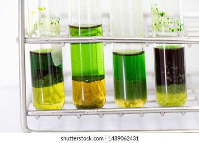 72 Preparative thin layer chromatography Images, Stock Photos & Vectors ...