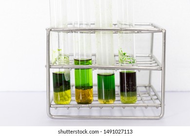 72 Preparative thin layer chromatography Images, Stock Photos & Vectors ...