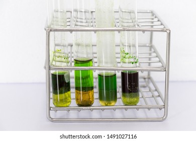 72 Preparative thin layer chromatography Images, Stock Photos & Vectors ...