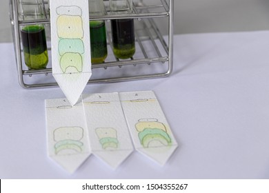 72 Preparative thin layer chromatography Images, Stock Photos & Vectors ...