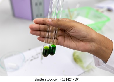 72 Preparative thin layer chromatography Images, Stock Photos & Vectors ...