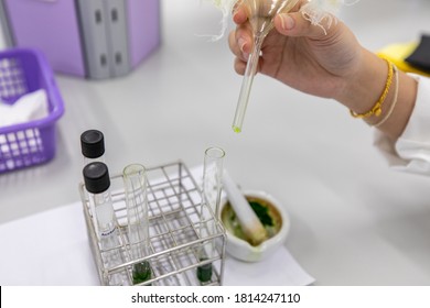 72 Preparative thin layer chromatography Images, Stock Photos & Vectors ...