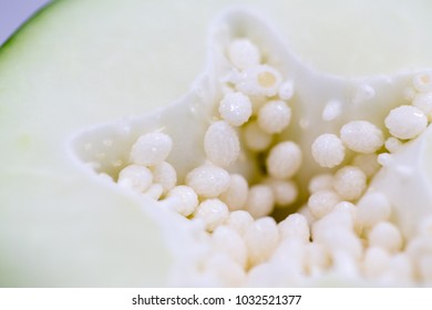 Study Structure Fruit Lab Stock Photo 1032521377 | Shutterstock