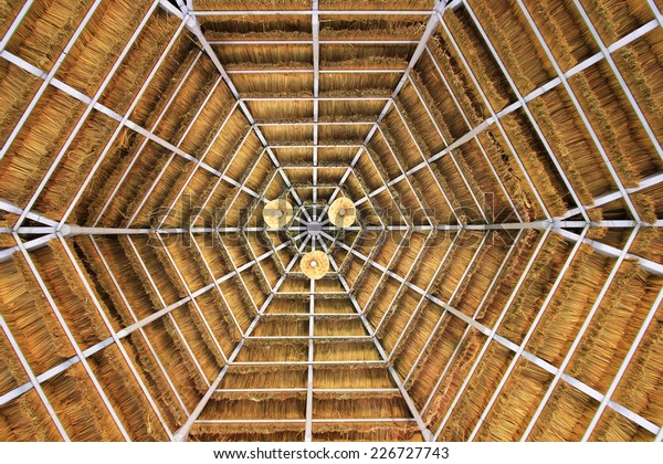 Style Thatched Design Ceiling Structure Pattern Stock Photo 226727743 ...