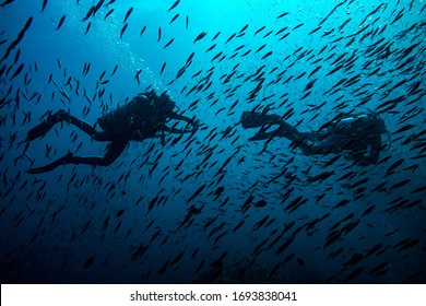 Suba Images, Stock Photos & Vectors | Shutterstock