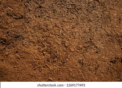 Substratum Texture Pattern Background Garden Agriculture Stock Photo ...