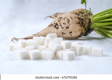 1,547 Sugar beet cut Images, Stock Photos & Vectors | Shutterstock