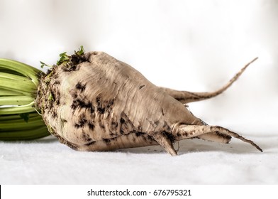 1,547 Sugar beet cut Images, Stock Photos & Vectors | Shutterstock