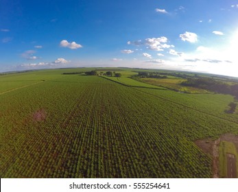 2,451 Sugar Cane Aerial Images, Stock Photos & Vectors | Shutterstock