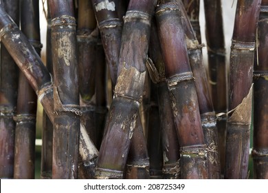 Sugar Cane Background Stock Photo 208725349 | Shutterstock