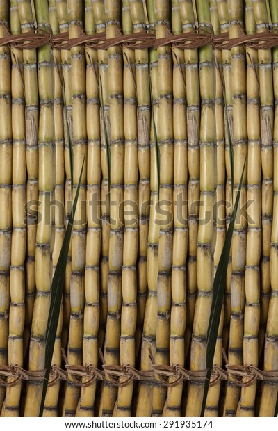 Sugar Cane Background Stock Photo 291935174 | Shutterstock