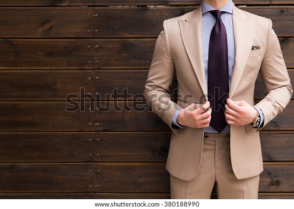 Suited Man Posing Stock Photo (Edit Now) 380188990