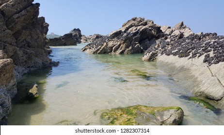 Summer Cornwall Stock Photo 1282307314 | Shutterstock