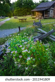 335 Hillbilly shack Images, Stock Photos & Vectors | Shutterstock