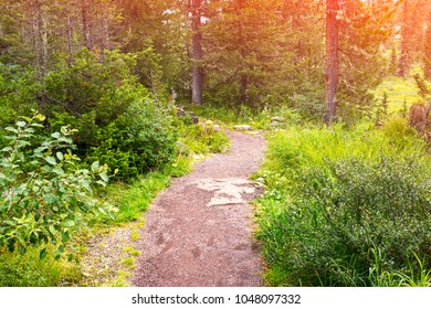 Wide Walking Path Divided Into Two Foto stock 1826826074 | Shutterstock