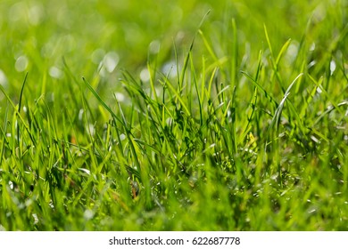 Hellosummer Images, Stock Photos & Vectors | Shutterstock