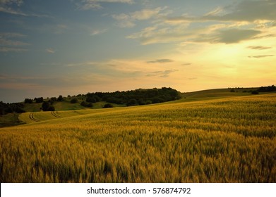Summer Meadows Fields Landscape Slovakia Cornfield Stock Photo ...