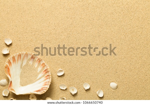 Summer Sand Background Shells Beach Texture Stock Photo 1066650740 ...