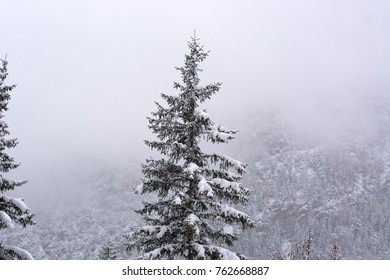 3,682 Minnesota winter landscape Images, Stock Photos & Vectors ...
