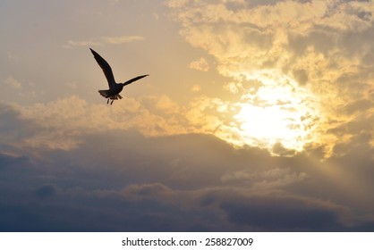 100,933 Flying Bird Cloud Images, Stock Photos & Vectors | Shutterstock