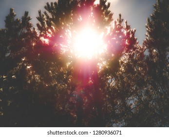 Sunshine Images, Stock Photos & Vectors | Shutterstock