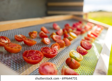 13,034 Solar drying Images, Stock Photos & Vectors | Shutterstock
