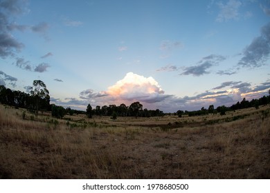 386 Australian bush setting Images, Stock Photos & Vectors | Shutterstock