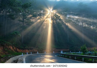 2,505 Sun rays shining down Images, Stock Photos & Vectors | Shutterstock