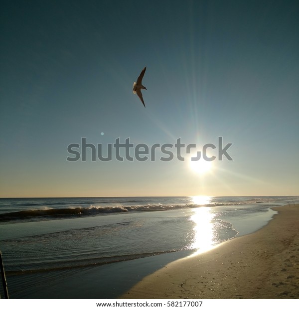 Sun Setting On Beach Stock Photo 582177007 | Shutterstock