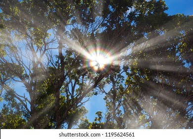 6,337 Light Diffraction Images, Stock Photos & Vectors | Shutterstock